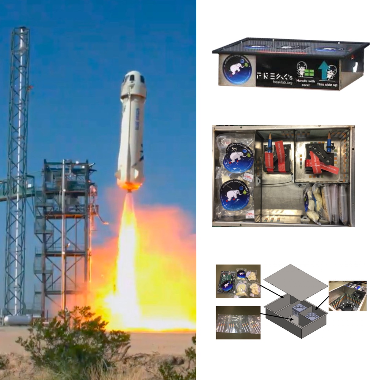 The First Thai Space Missions in Space – FREAK lab