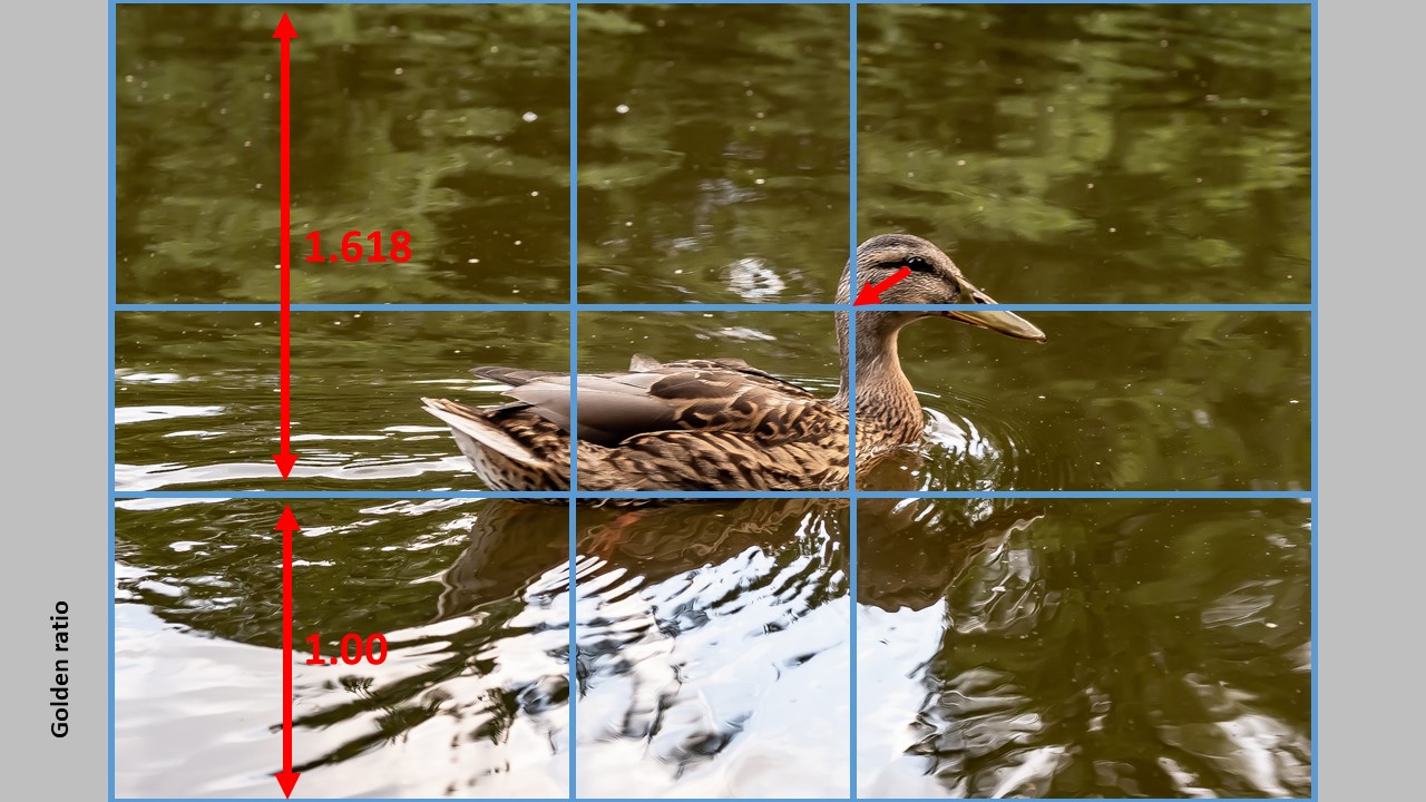 What is the golden ratio in photography? – frederikboving