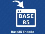 Base85 Encode Freecamp Dev