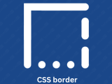 Css Border Freecamp Dev