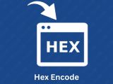 Hex Encode Freecamp Dev