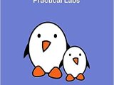 Embedded Linux System Development Practical Labs Free Computer