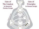 Human Design Gate 49 Explained