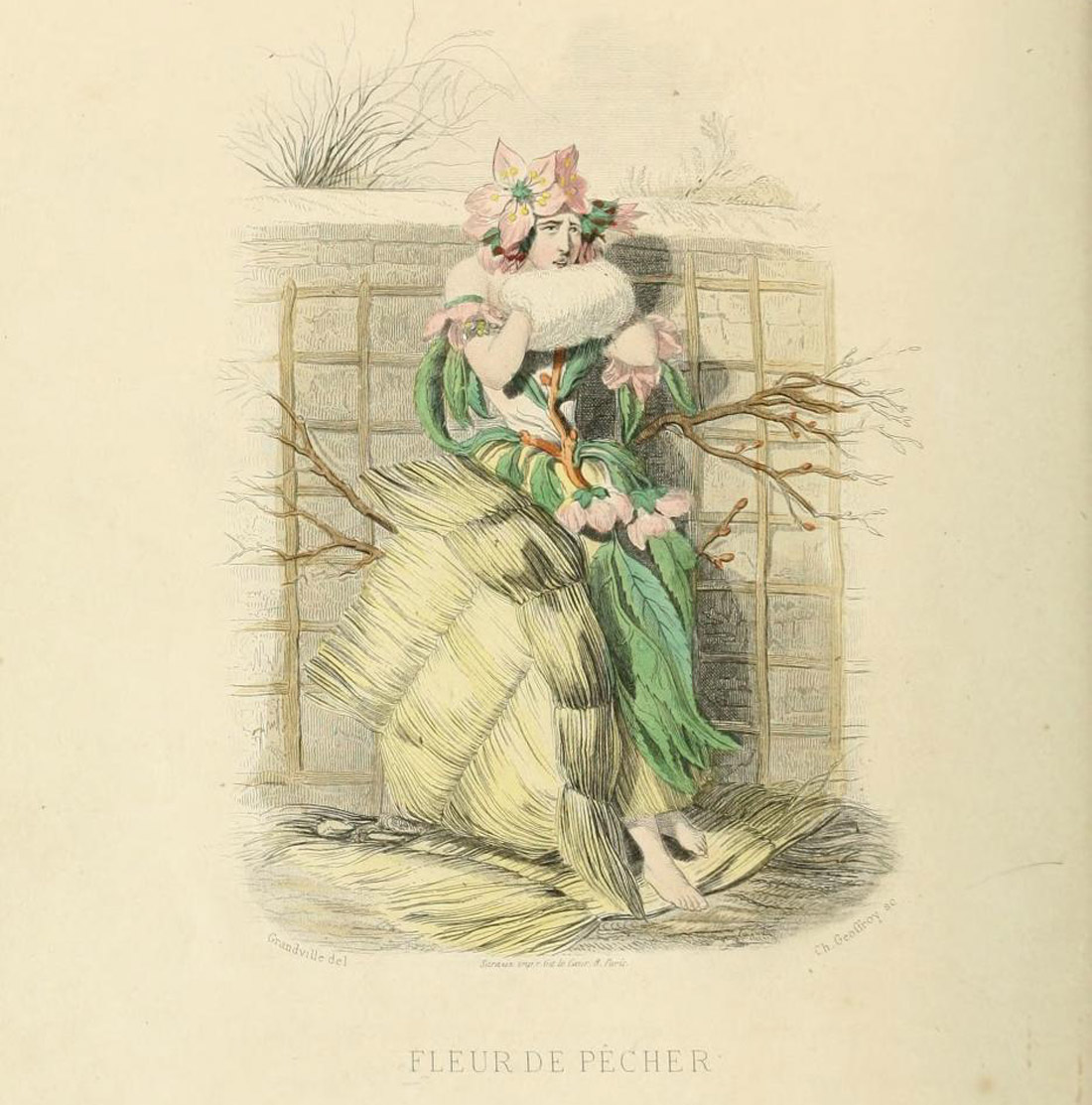 Fleur de Pêcher.