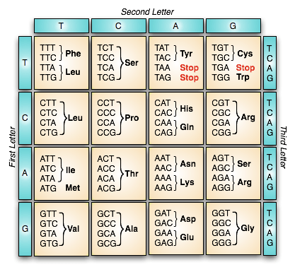 MUTAAION – Freethought Lebanon