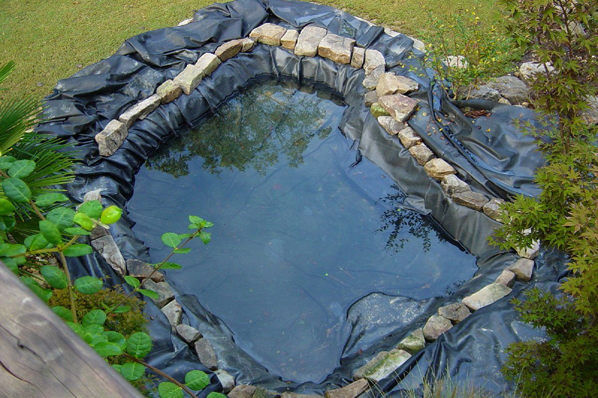 Backyard Fish Pond Liners — Freshouz Home & Architecture Decor