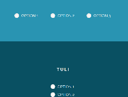 CSS/SVG Lines App Concept - Coding - Fribly