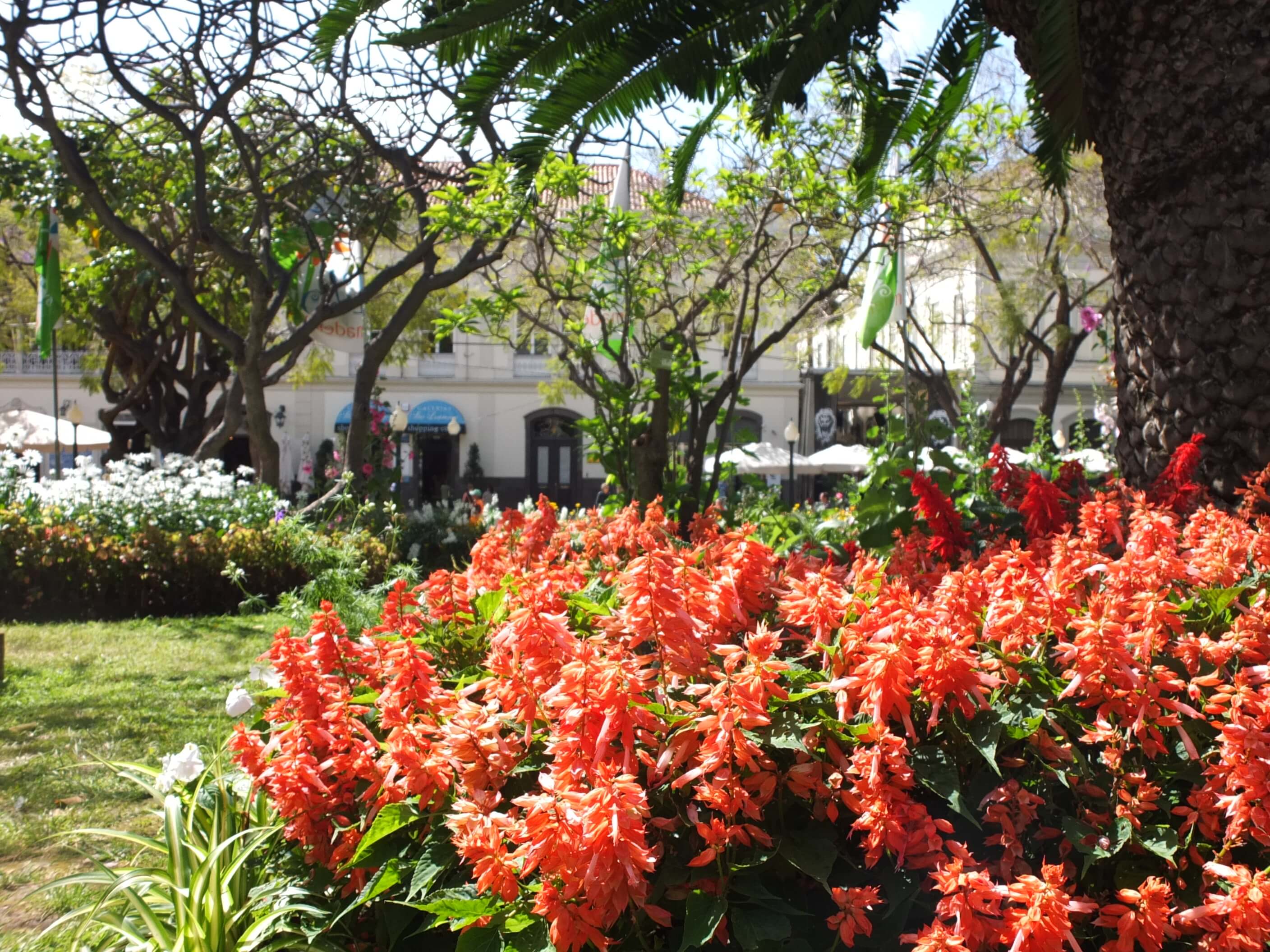 “Checklist” Funchal – FROM MADEIRA TO MARS