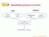 Annotation Process Overview