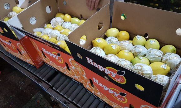 Lemon – Fruit Link Fresh Produce