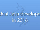 Profile Of Successful Java Developer In 2016 Fruzenshtein Notes