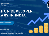 Python Developer Salary In India Freshers And Experienced