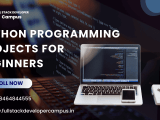 Python Programming Projects For Beginners In 2025