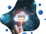 Aws Development Services Company