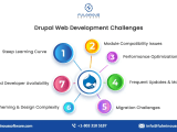 Drupal Web Development Services A Complete Guide