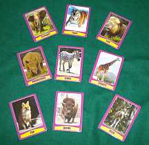 Magic Safari - Funtime Magic