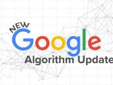 Decoding Google S Latest Algorithm Update Fuzion Digital
