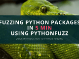 Fuzzing Python Code With Pythonfuzz In 5 Min Fuzzinglabs