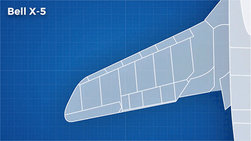 Why Do Backwards Wings Exist? – FYFD