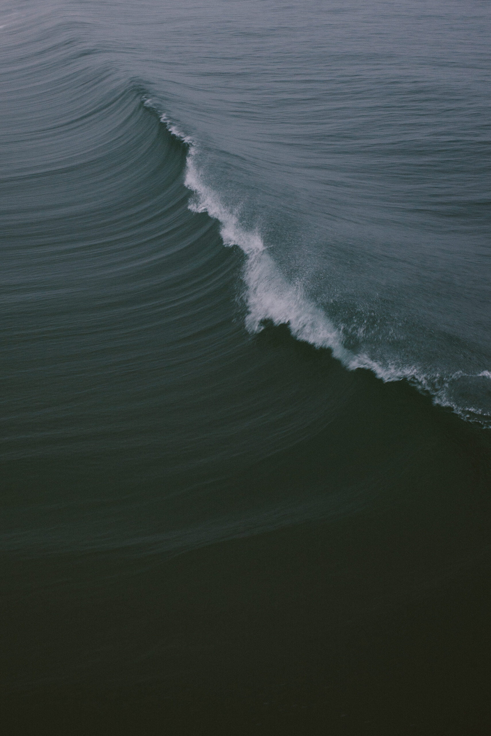 Moody Waves – FYFD