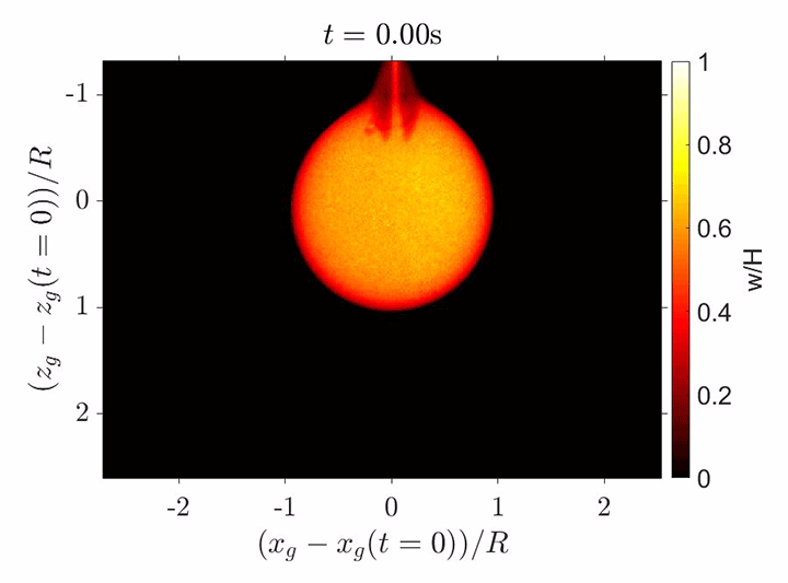 Falling Pancake Drops – FYFD