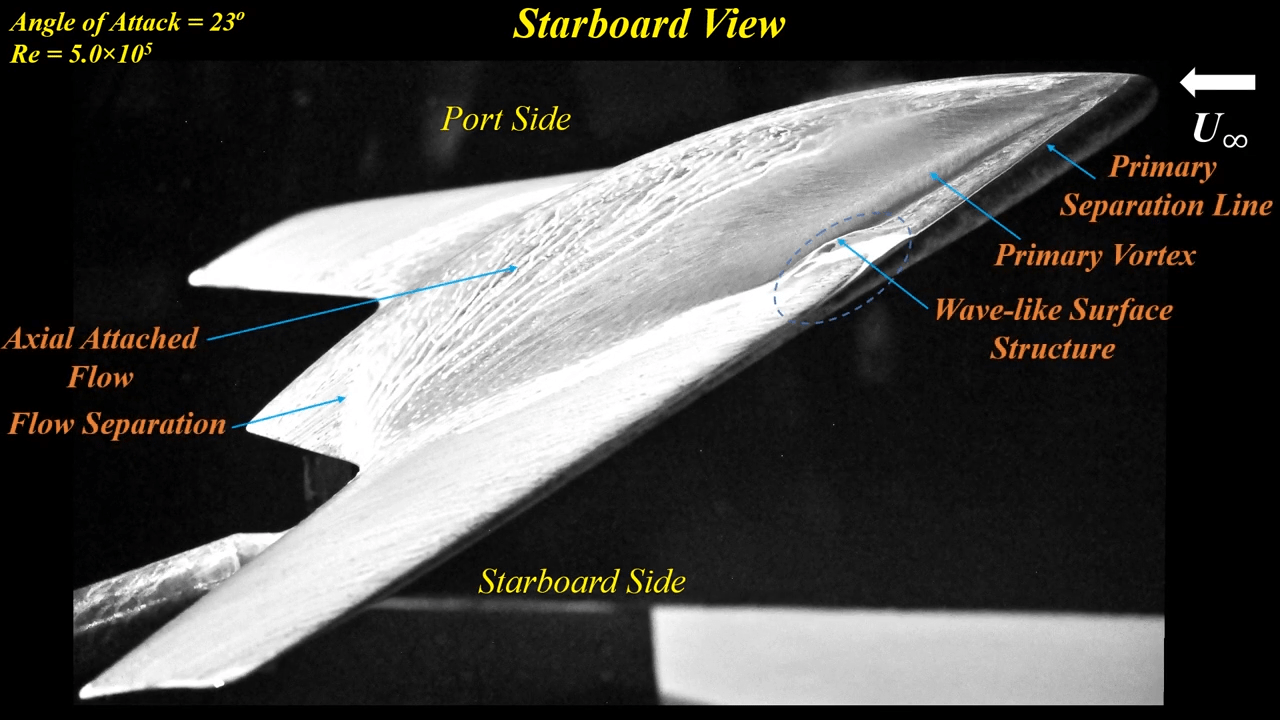 Seeing the Flow – FYFD