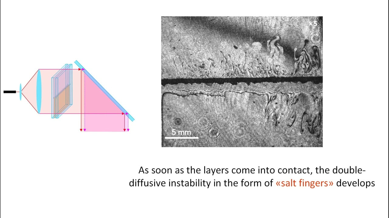 Double Diffusive Flow – FYFD