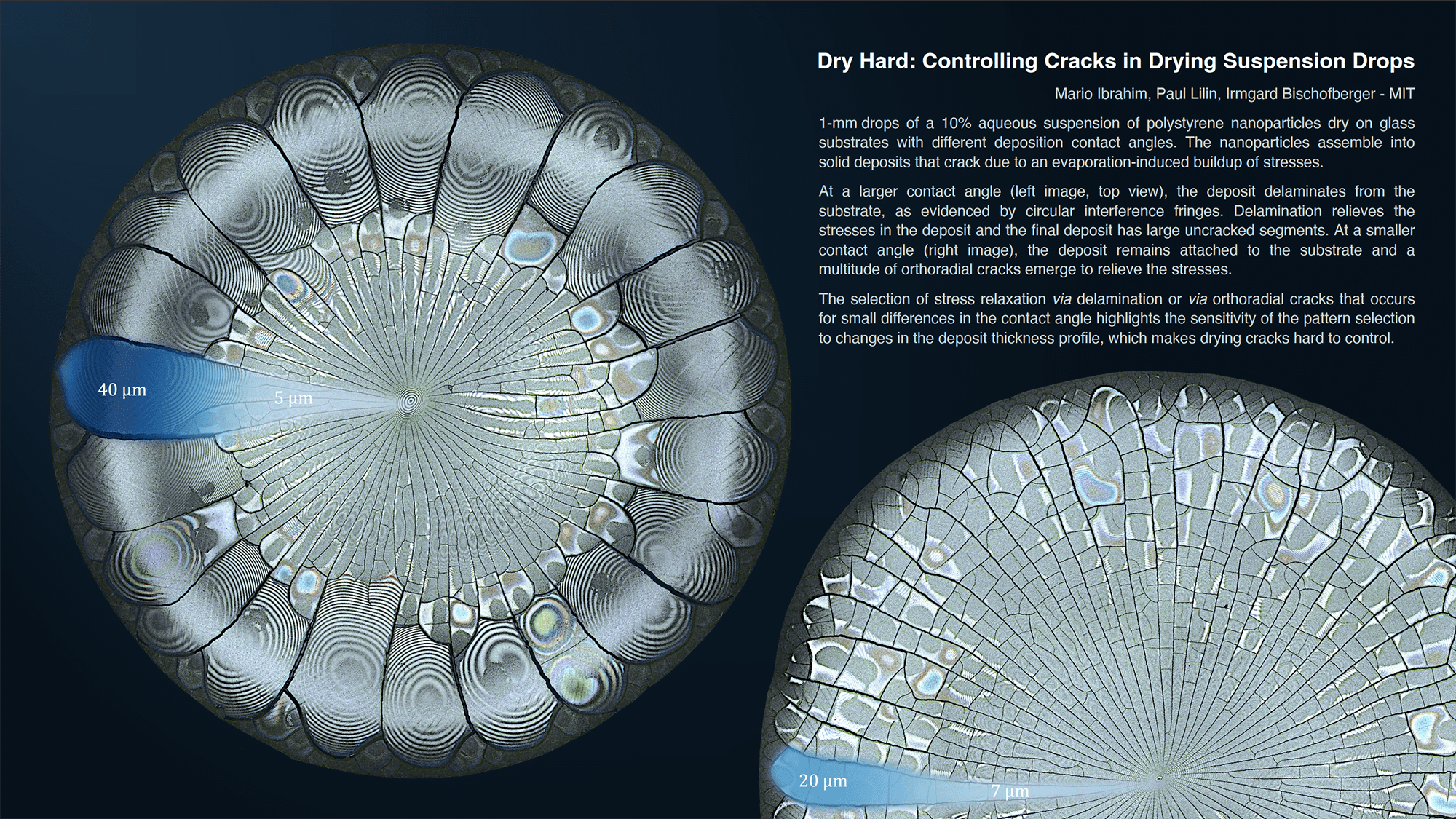 Drying Cracks – FYFD