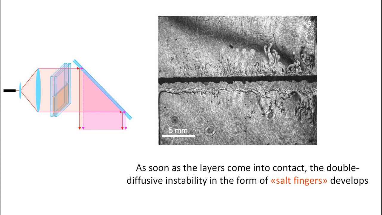 Double Diffusive Flow – FYFD