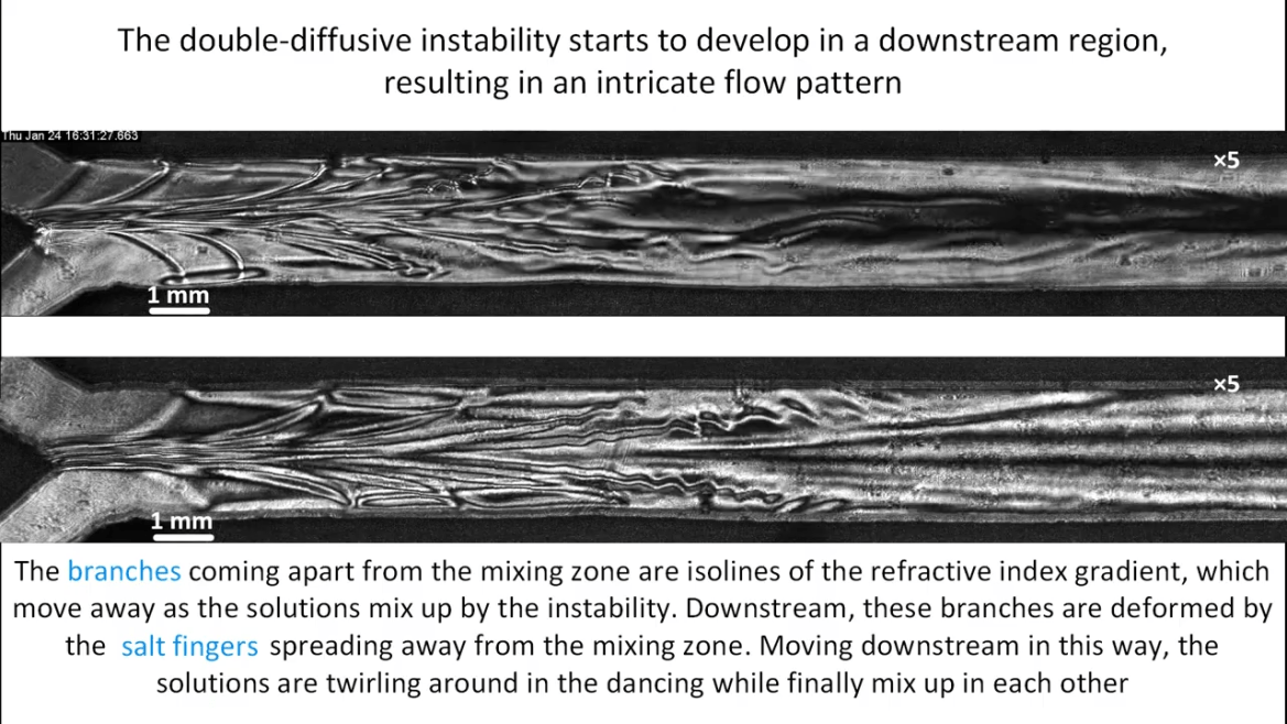 Double Diffusive Flow – FYFD