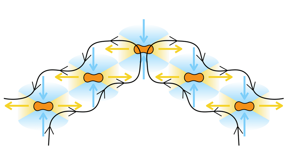 Forming Zigzags – FYFD