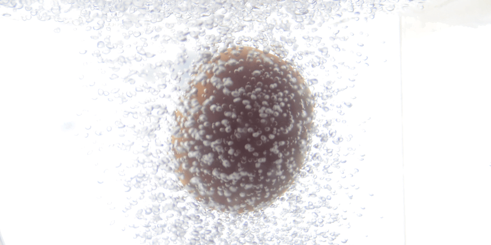 Bubble Cleaning – FYFD