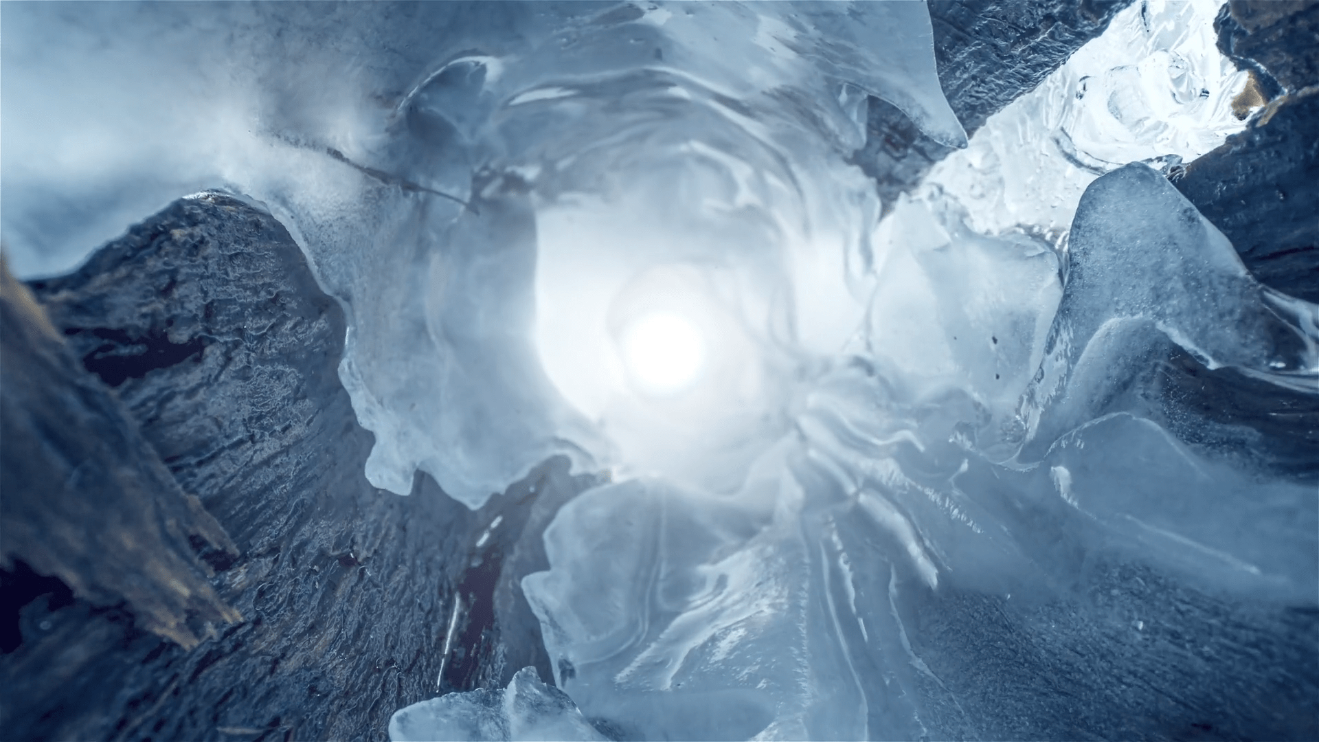 “Eternal Spring” – FYFD