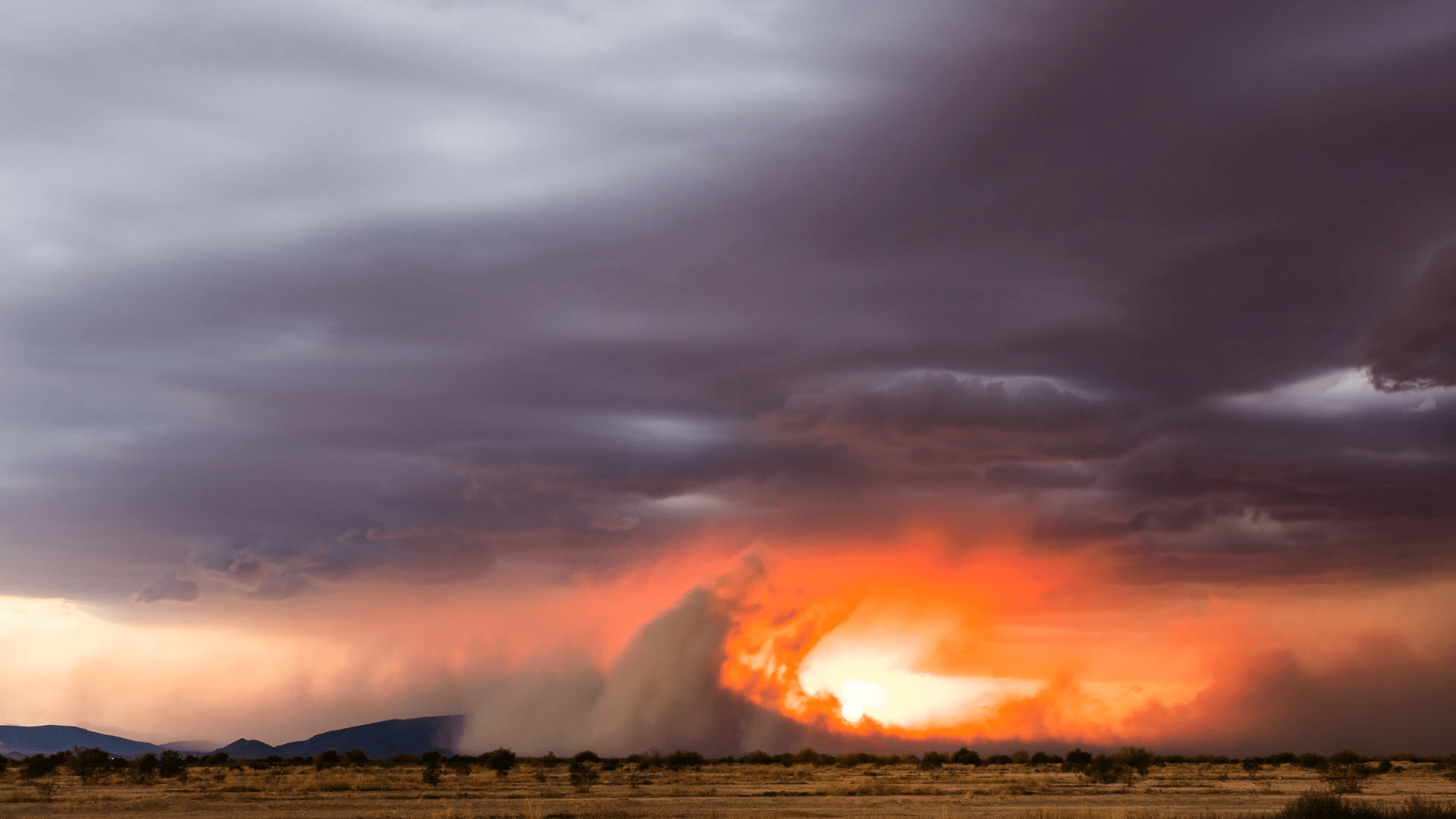 “Haboob: A Decade of Dust” – FYFD