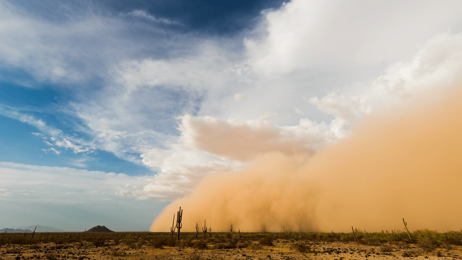 “Haboob: A Decade of Dust” – FYFD