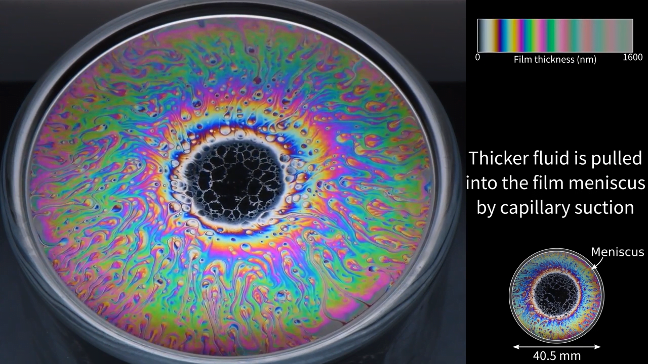 Magnetic Soap Films – FYFD