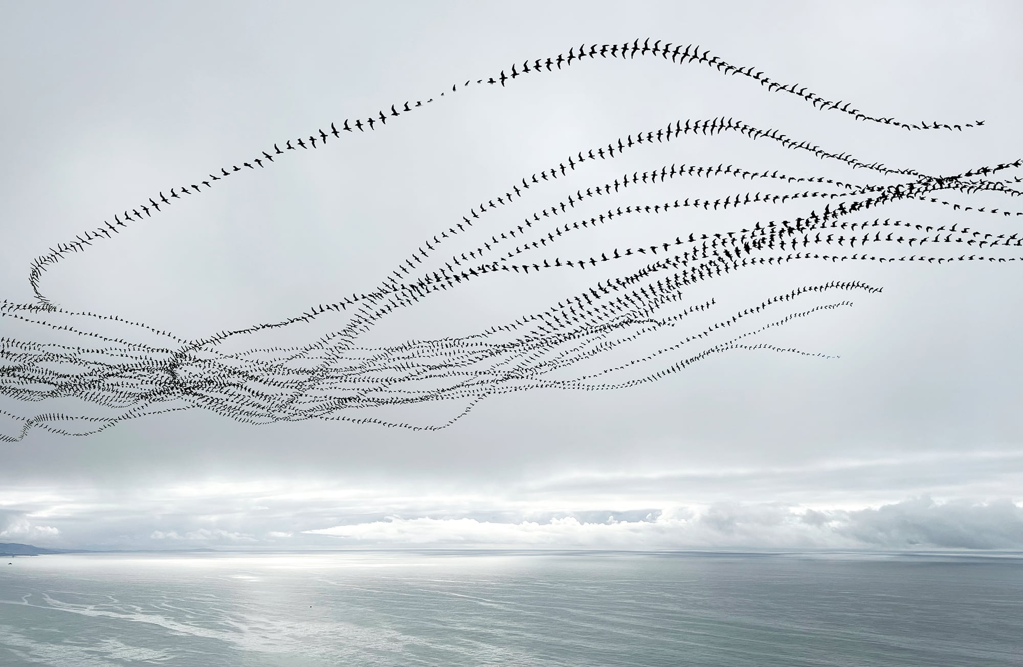 Portraits of Flight – FYFD