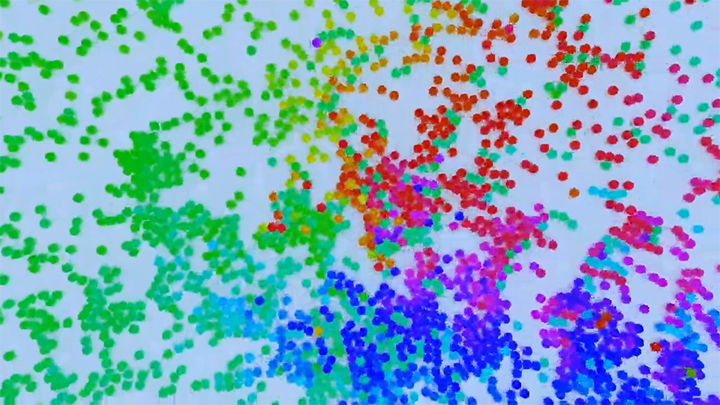 Recreating Flocks – FYFD