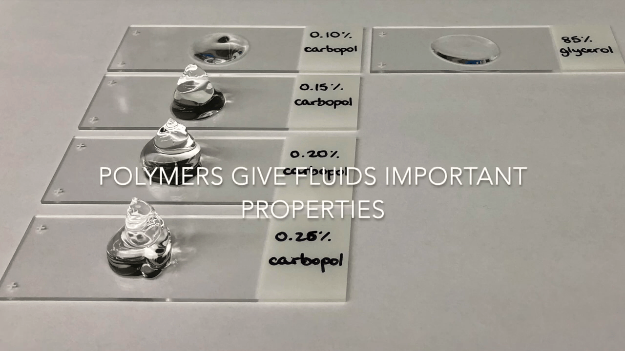 Polymers and Fluid Sheets – FYFD