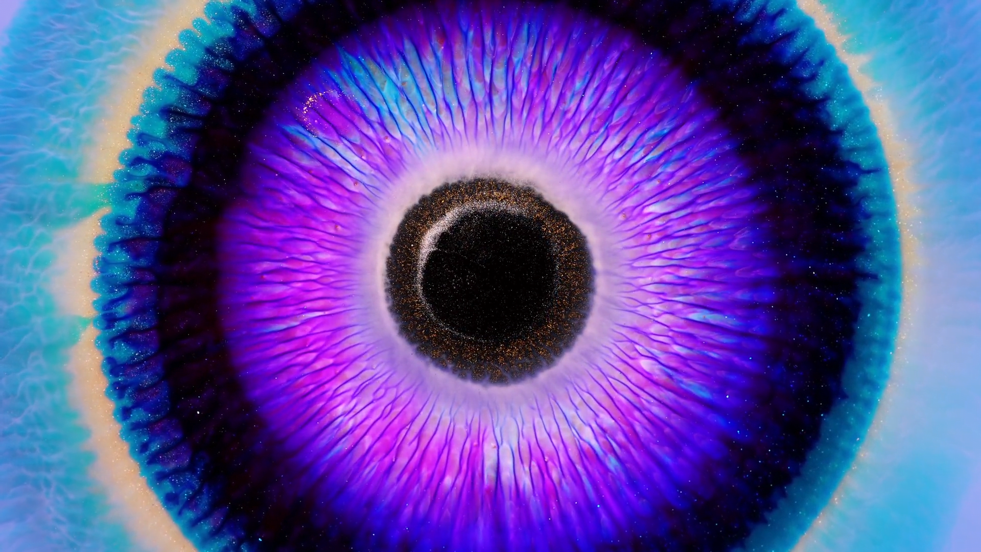 “Space Iris” – FYFD