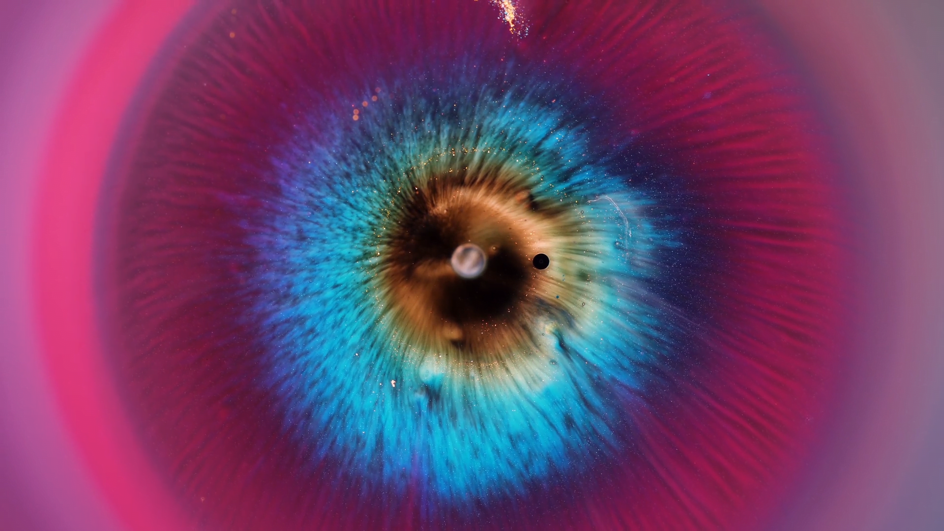 “Space Iris” – FYFD