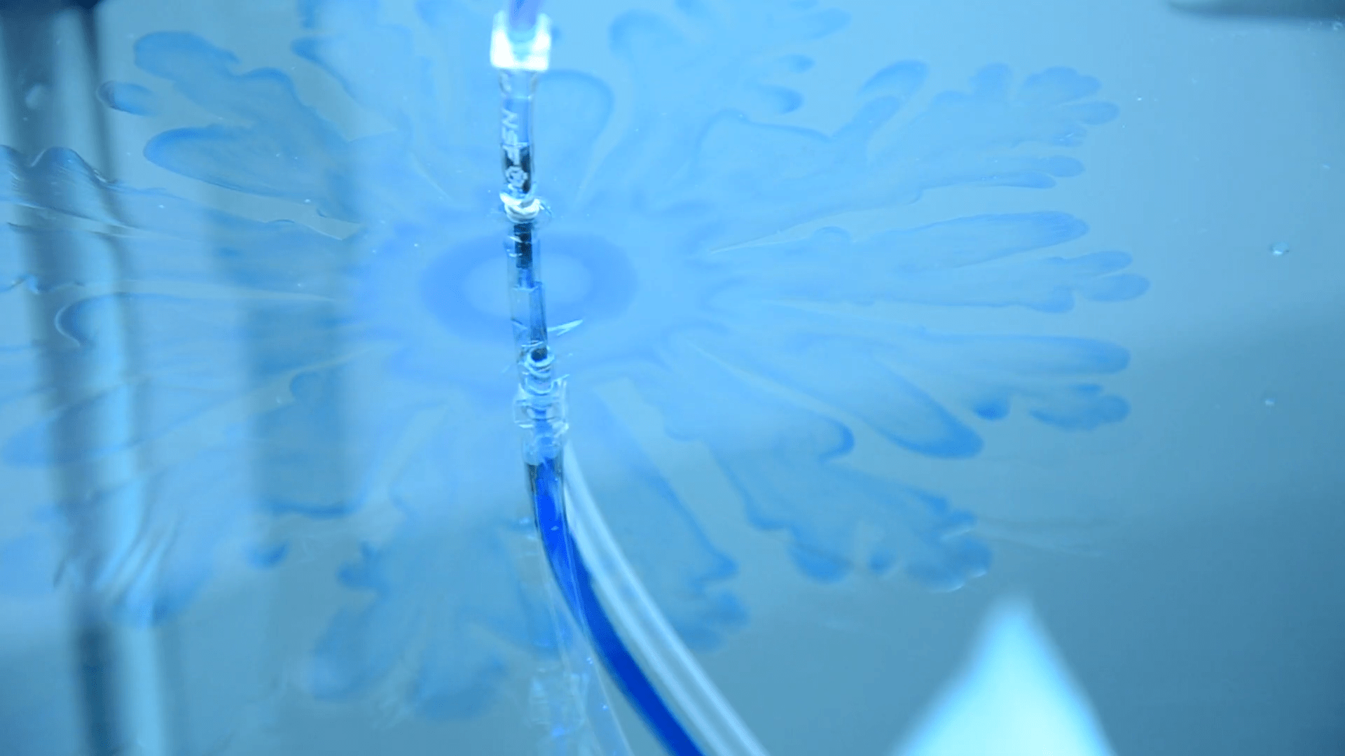 Inside Viscous Fingers – FYFD