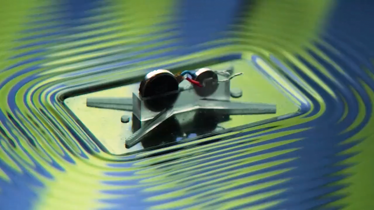 Surf’s Up! – FYFD