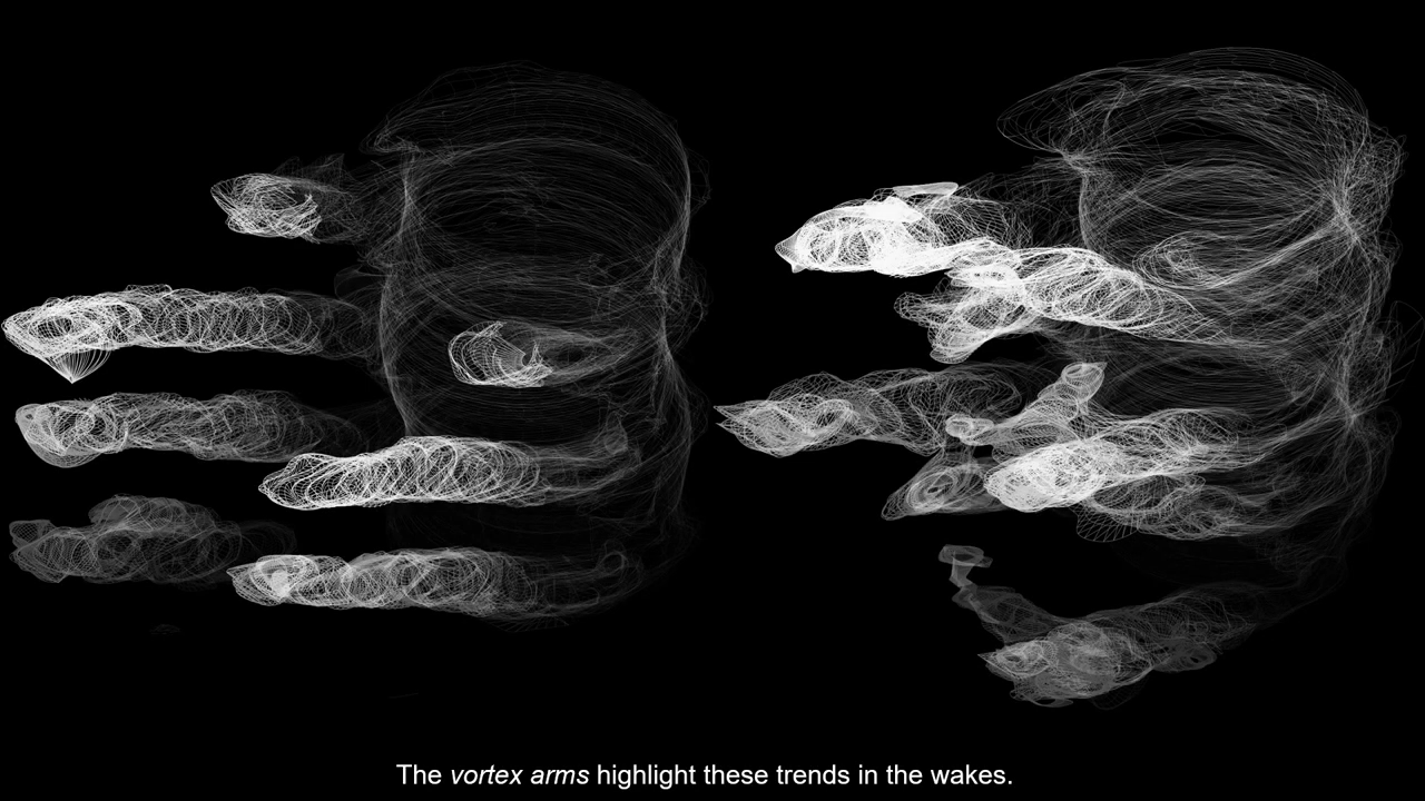 Vortex Arms – FYFD