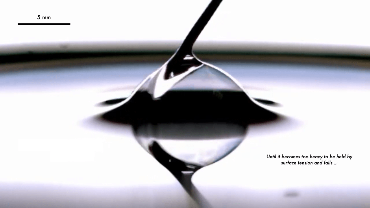 Long-Lived Bubbles – FYFD