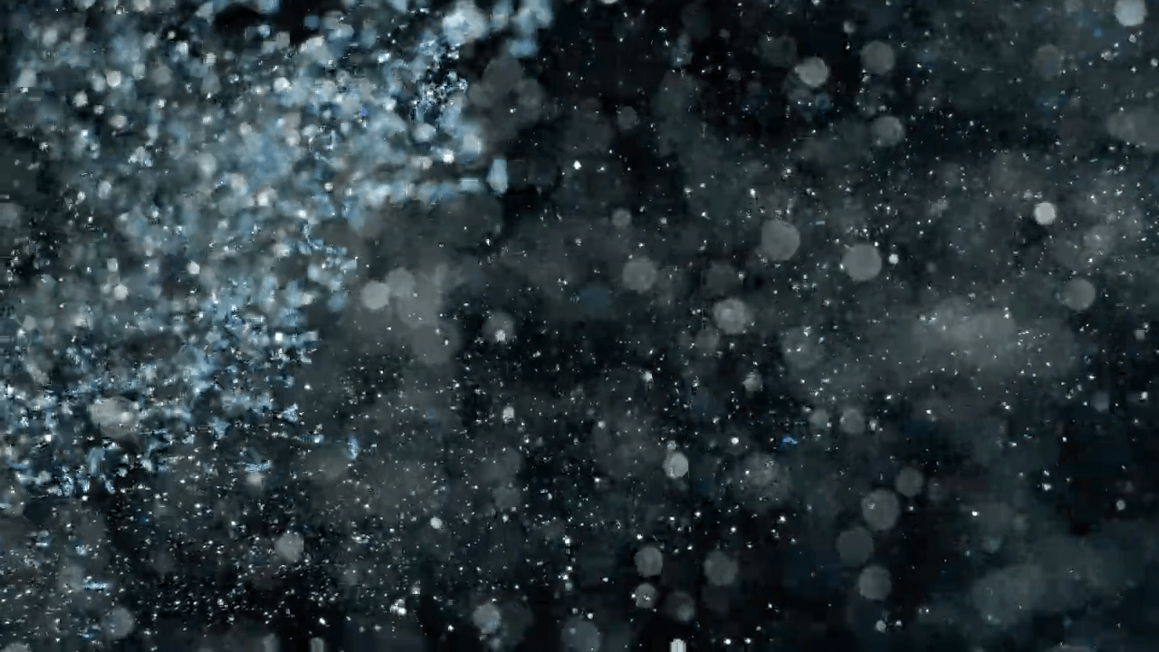 “Turbulence” – FYFD