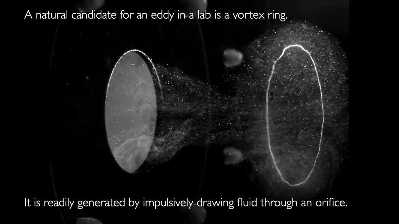 Turbulence From Vortex Rings – FYFD