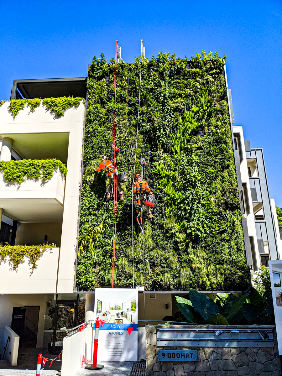Green Walls & Vertical Gardens | Fytogreen Australia