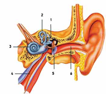 De Tekenen in de Hemelen en op Aarde | Het Bestaan van Allah