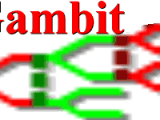 Gambit The Package For Computation In Game Theory